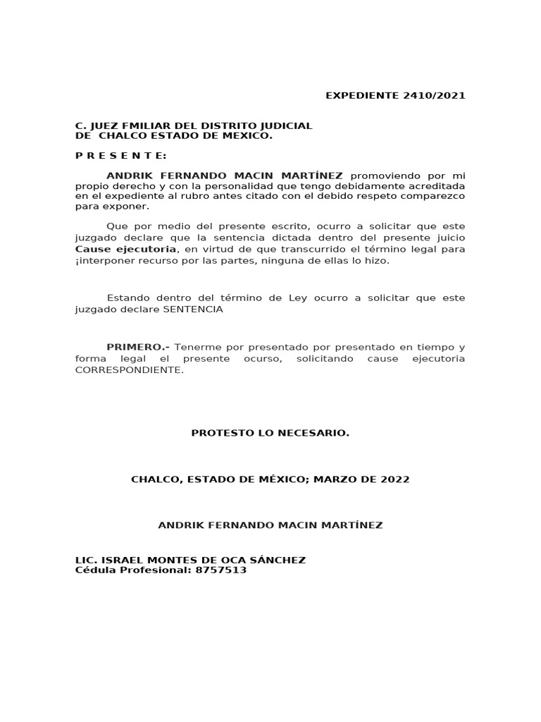 SOLICITUD DE SENTENCIA EJECUTORIA ANDRIK | PDF