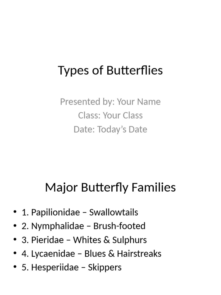 Butterfly Families and Examples | PDF