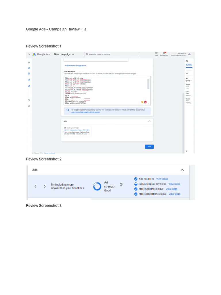 Google Ads - Campaign Review File | PDF