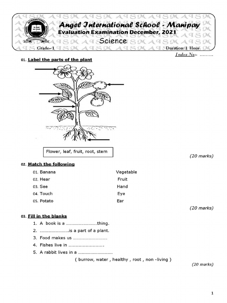 Grade 1 Science | PDF