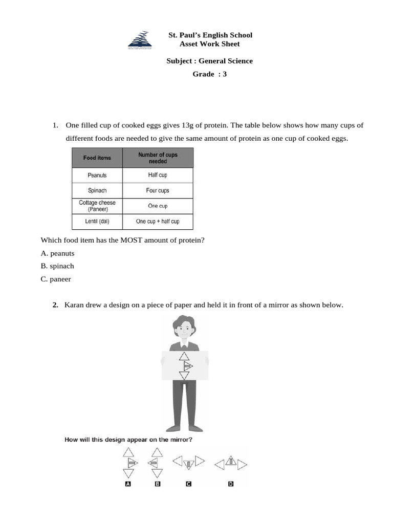 Grade 3 3 Asset Work Sheet | PDF