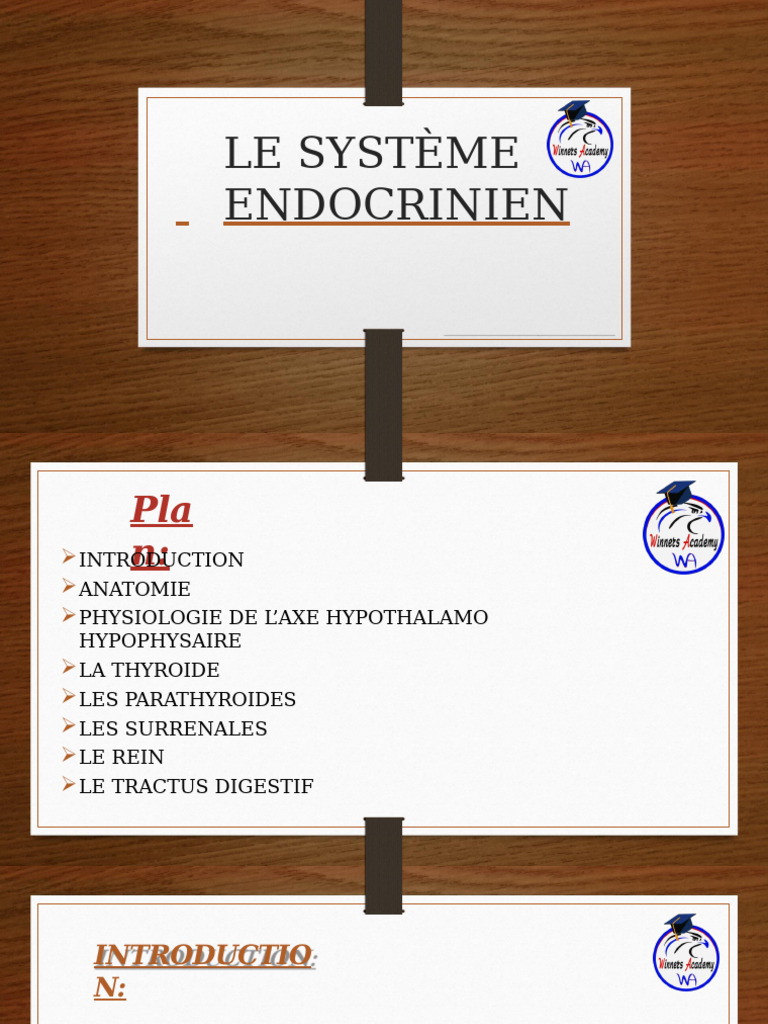 Comprendre le Système Endocrinien | PDF | Glande surrénale | Hormone