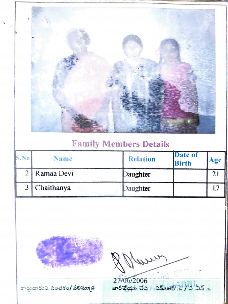 Family Members Details and Demographics | PDF