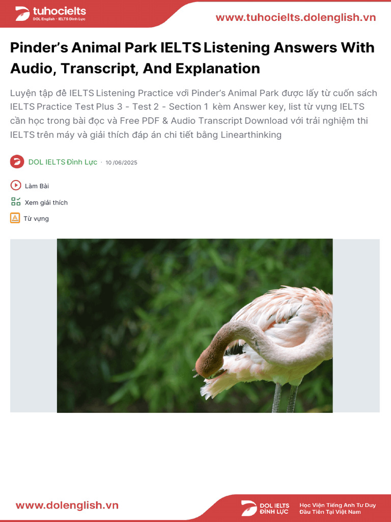 Pinder’s Animal Park | PDF | International English Language Testing System