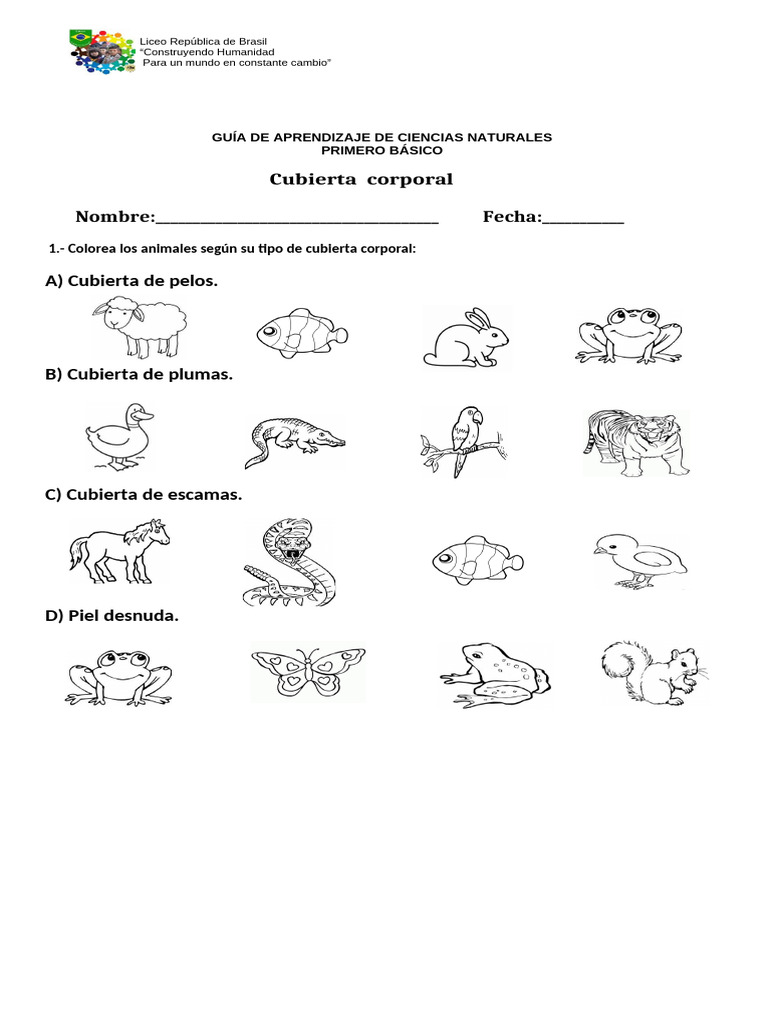 Guia de Cubierta de Los Animales | PDF | Ala | Piel