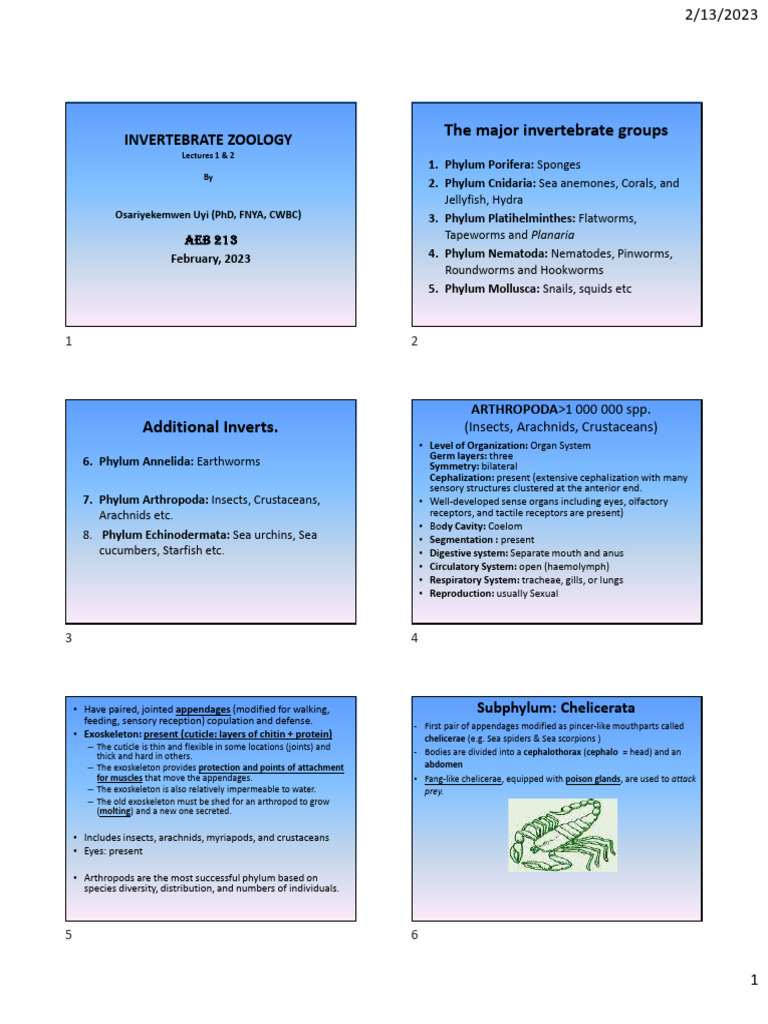 Invertebrate Zoology Overview and Classification | PDF | Insects ...