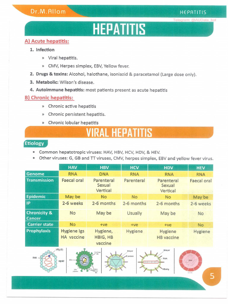 Hepatitis | PDF