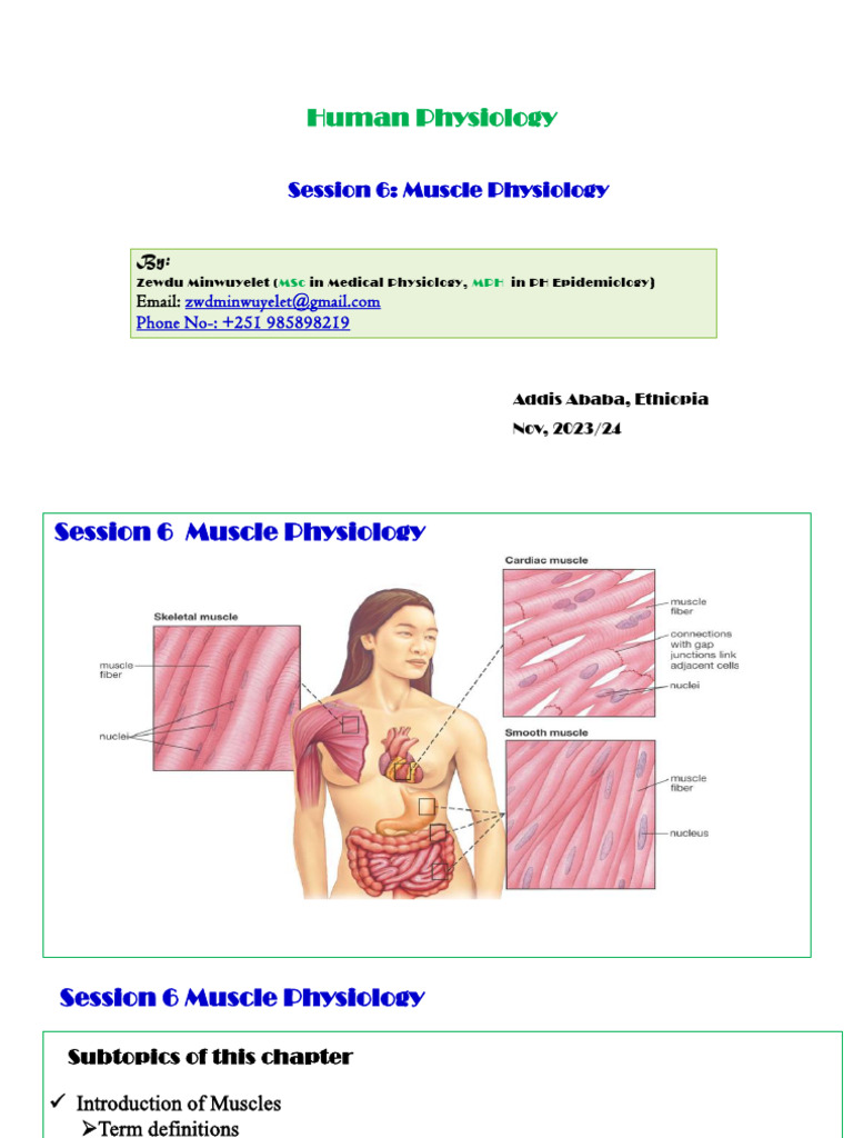 Muscle Physiology Overview and Concepts | PDF | Muscle Contraction | Muscle