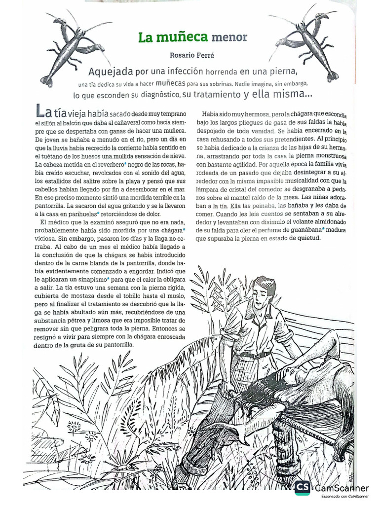La Muñeca Menor | PDF
