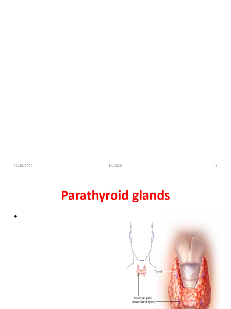 Hypoparathyroidism Overview and Symptoms | PDF | Parathyroid Gland ...