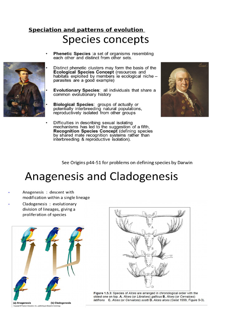 11-Speciation and Patterns of Evolution | PDF