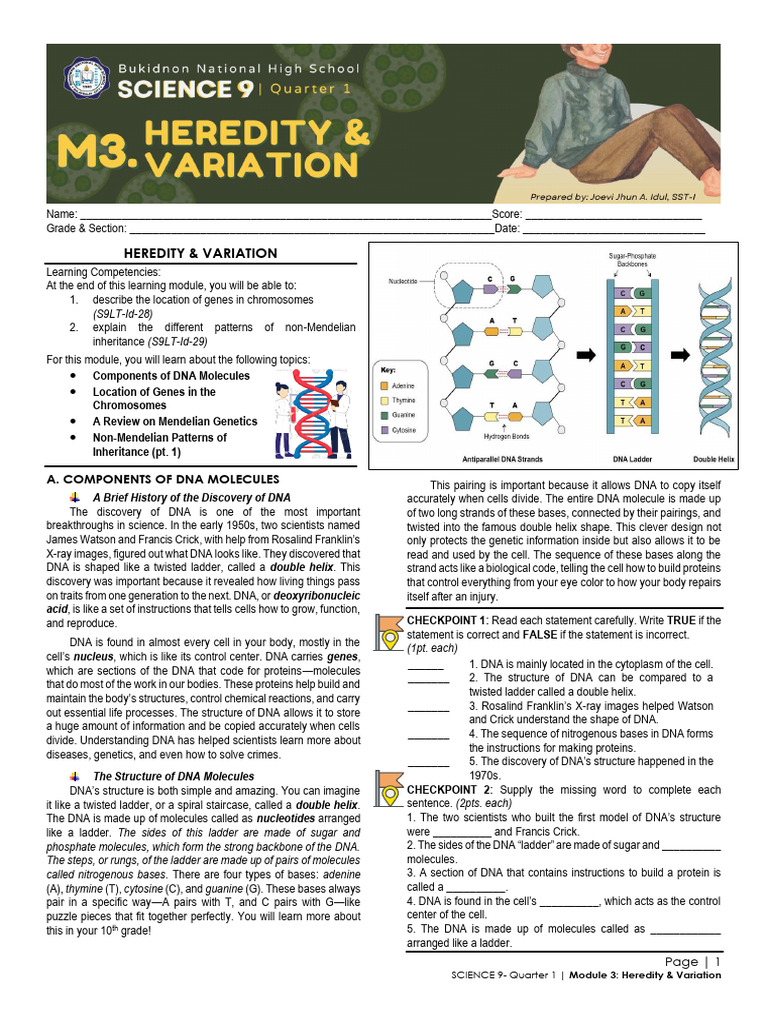 Science-9-M3-Heredity-and-Variation | PDF | Dominance (Genetics) | Genotype