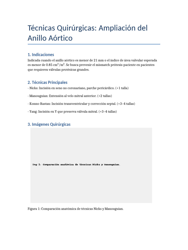 Ampliacion_Anillo_Aortico_Imagenes_Visibles | PDF