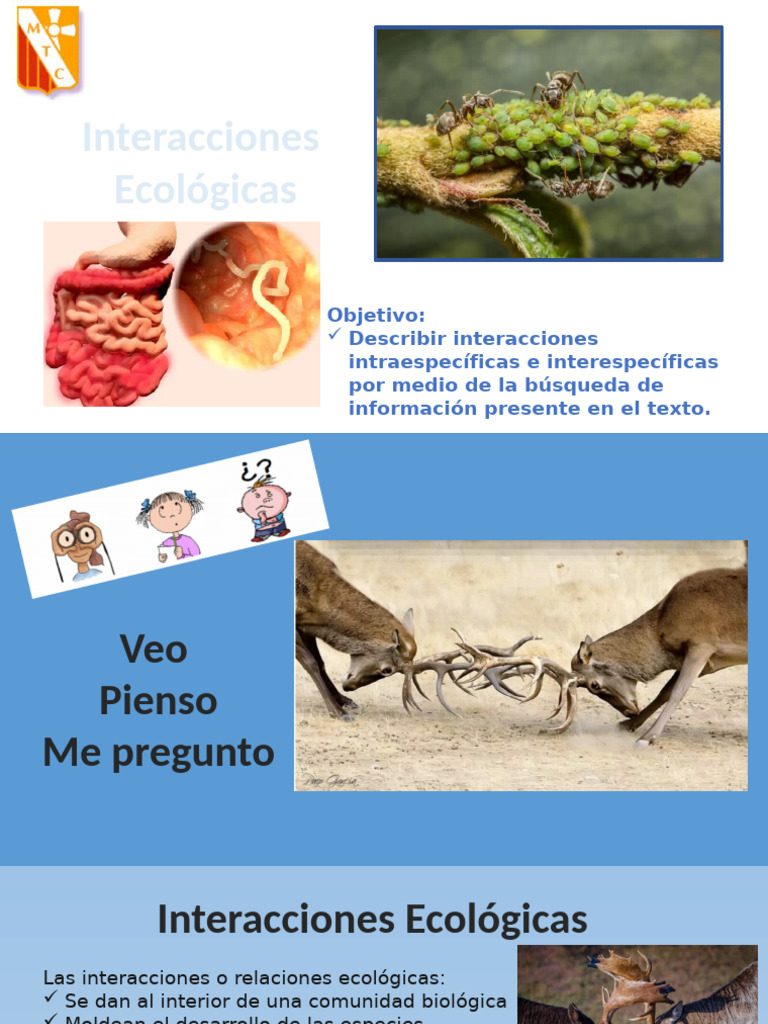 1795 g8mBT1eO Interacciones Ecológicas | PDF | Simbiosis | Zoología