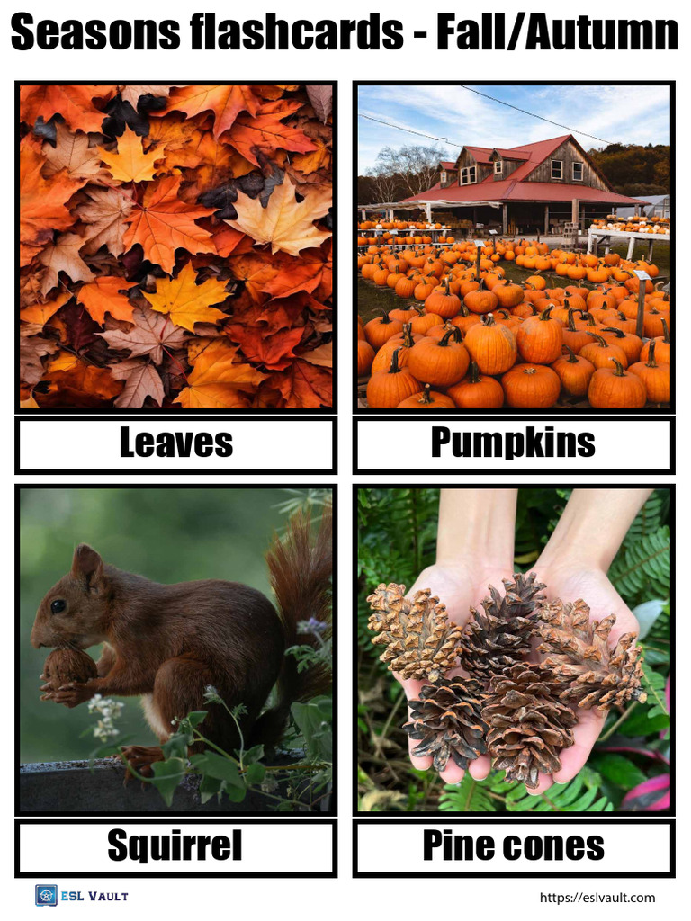 Free Printable Seasons Flashcards Fall | PDF