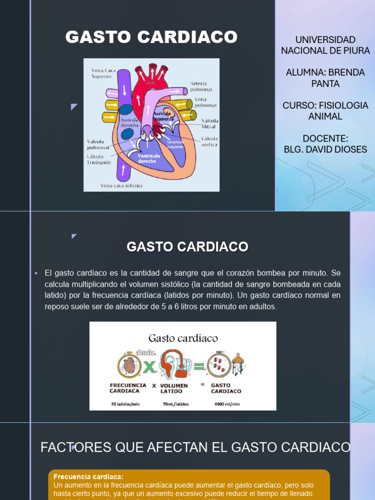 Gasto Cardíaco Normal y Su Importancia | PDF