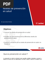 NIVELES DE LEAVELL Y CLARK Según La OMS | PDF | Asistencia sanitaria ...