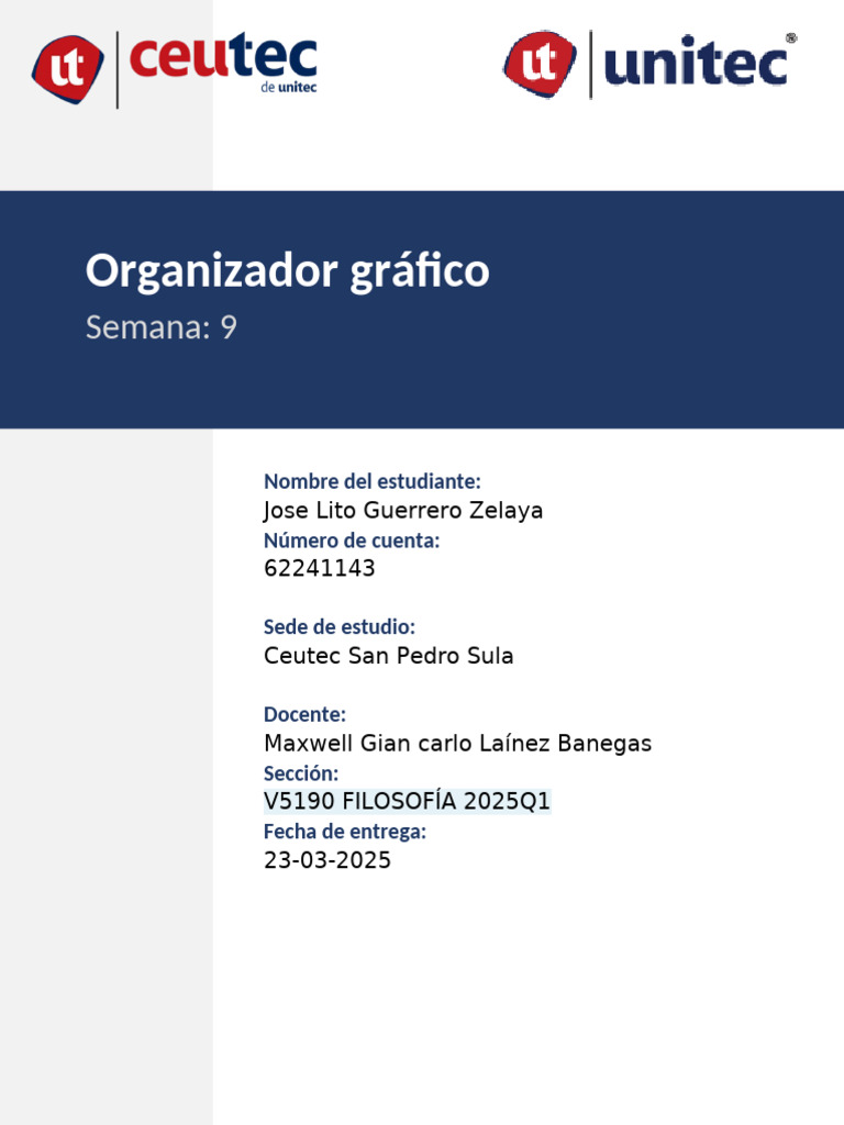 Organizador Grafico | PDF