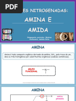 Amidas e Aminas | PDF | Amina | Amida