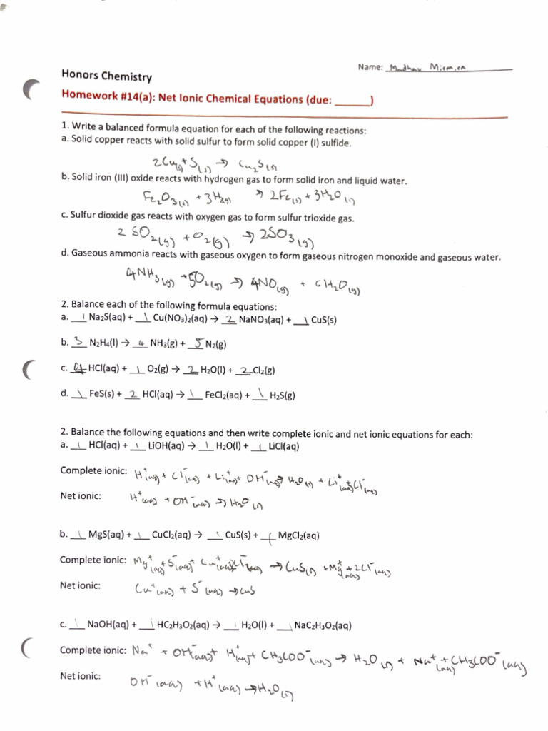 HW 14a Net Ionic Equations | PDF
