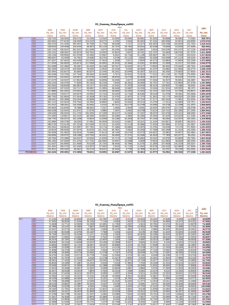 01 Guanay Huaylipaya Est01 | PDF
