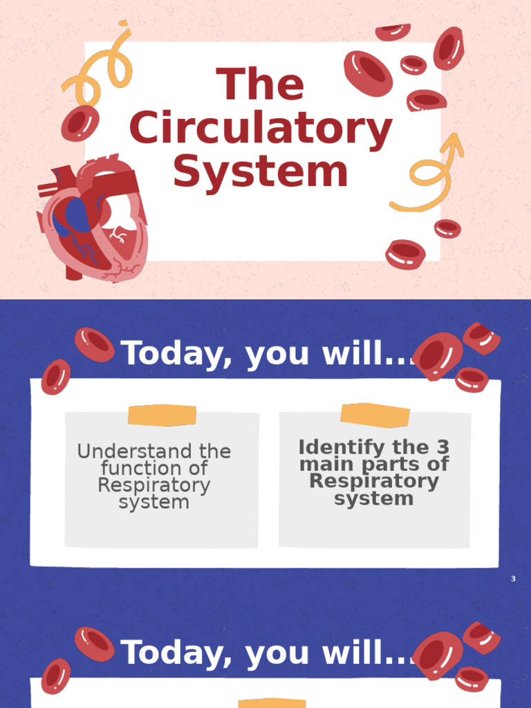 Understanding the Human Circulatory System | PDF | Blood | Circulatory ...