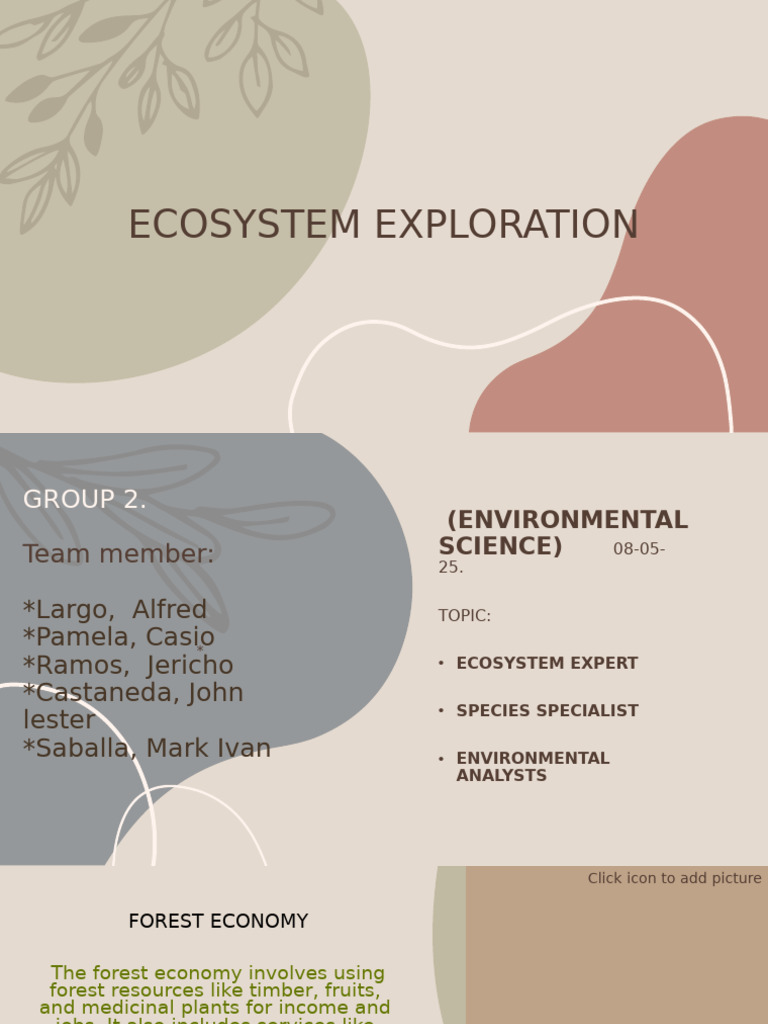 Ecosystem Exploration | PDF | Ecosystem | Plants
