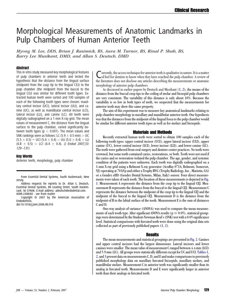 Pulp Chamber Anatomy in Anterior Teeth | PDF | Dental Anatomy | Tooth