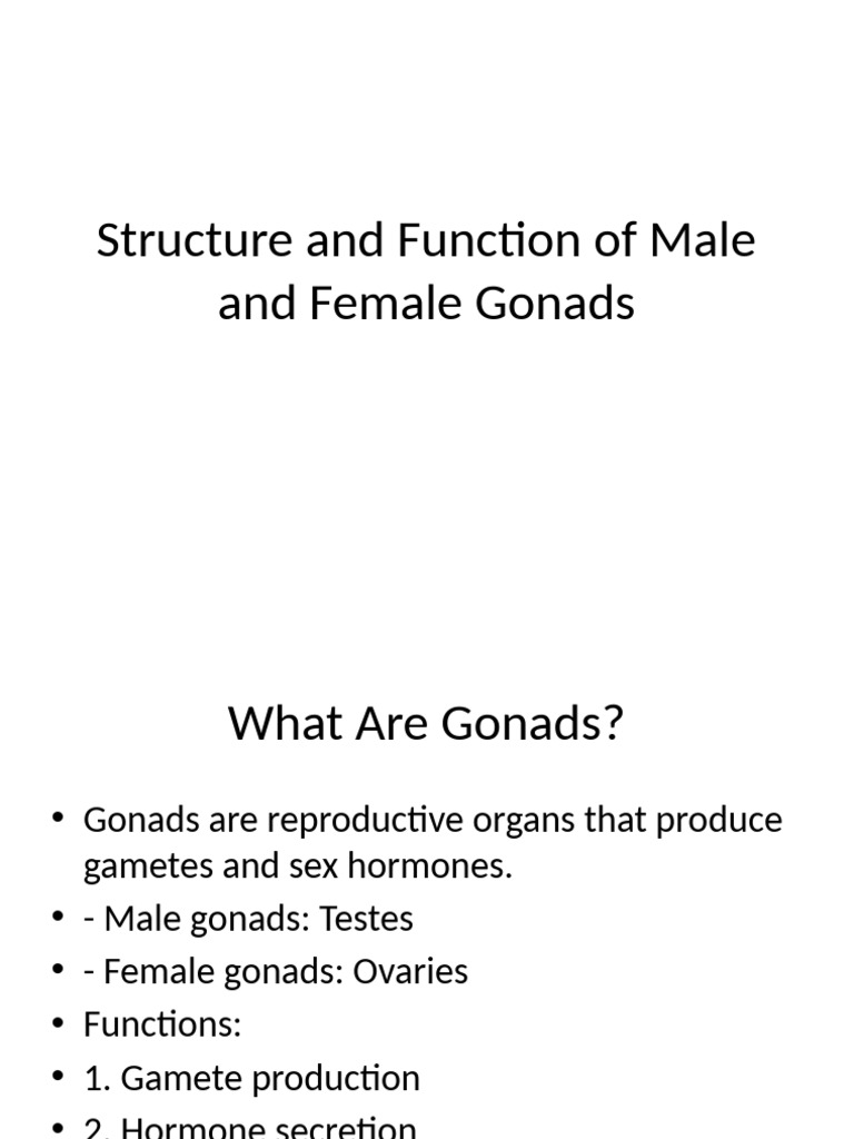 Gonads: Structure and Functions Explained | PDF