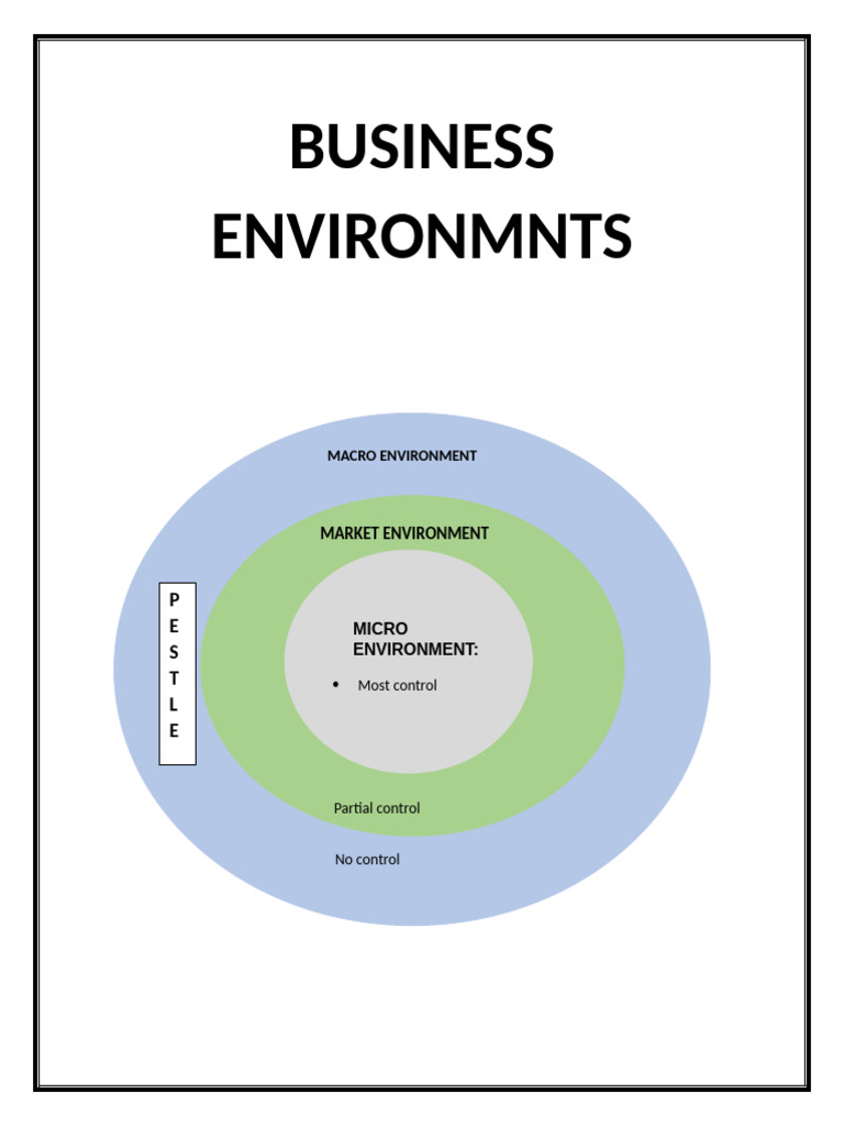 Grade 11 Business Environment Overview | PDF