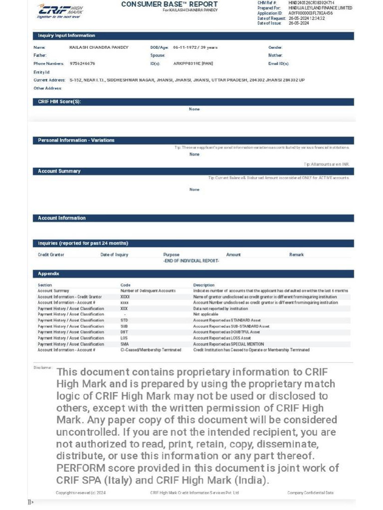 Cibil Report | PDF