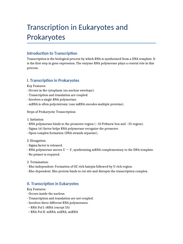 Transcription Eukaryotes Prokaryotes | PDF | Rna | Messenger Rna