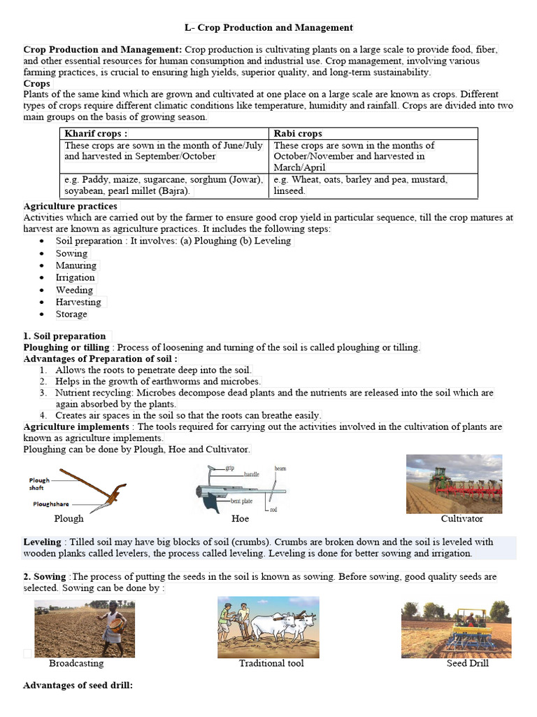 Understanding Field Fallow Practices | PDF | Crop Rotation | Soil
