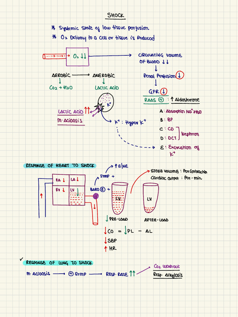 Types of Shock - Surgery - Bailey Learned With Dr. Sandeep - PW MedEd ...