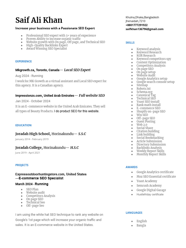 CV (Saif Ali Khan SEO Expert) | PDF | Search Engine Optimization | Digital Marketing