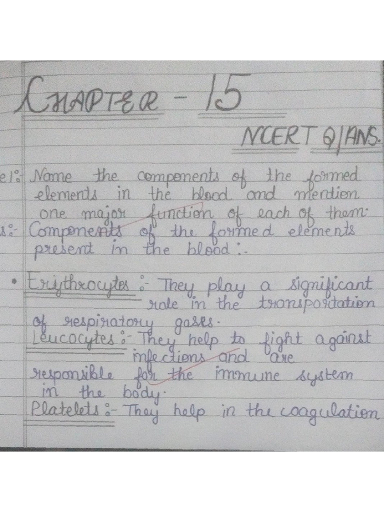 Image To PDF 20250729 15.43.27 | PDF