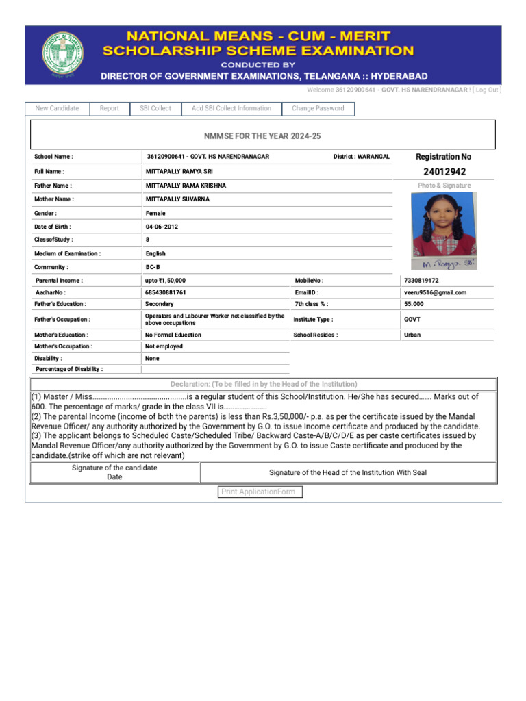 NMMSE Application 2024-25 for Students | PDF | Social Policy