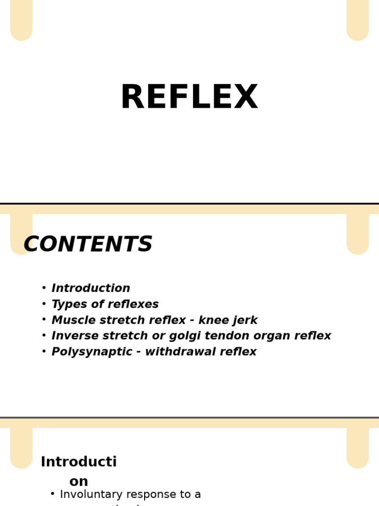 Reflex | PDF | Motor Neuron | Stimulus (Physiology)