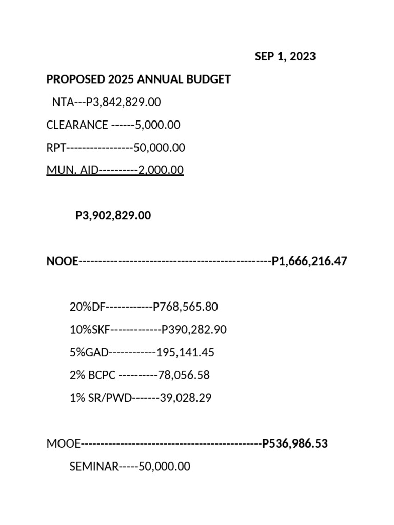 Proposed 2025 Annual Budget | PDF