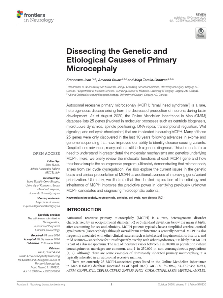 Genetic Causes of Primary Microcephaly | PDF | Microtubule | Mitosis
