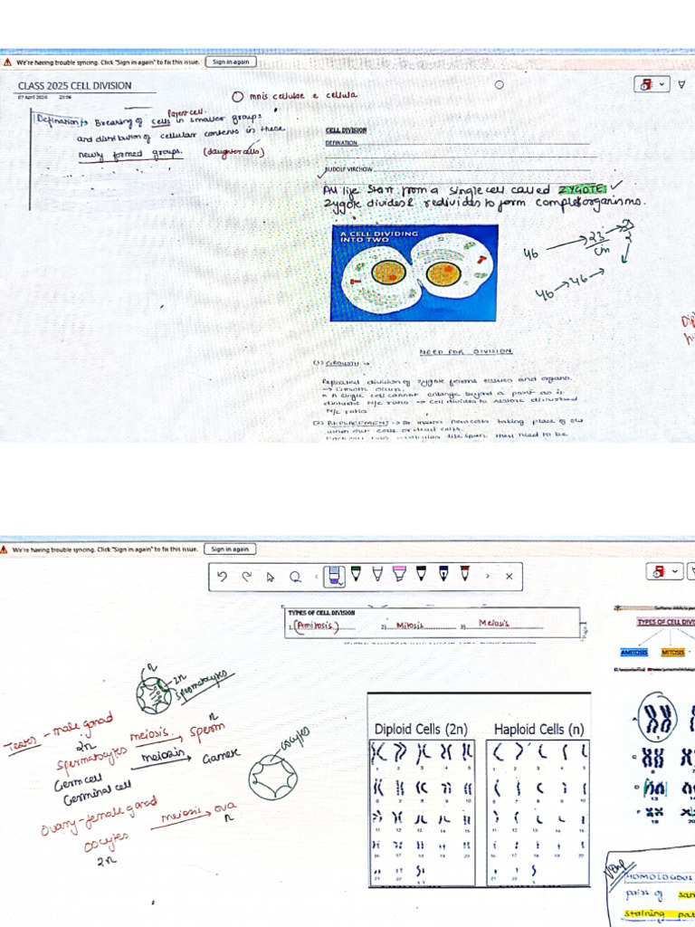 Cell Division Notes Screenshots | PDF