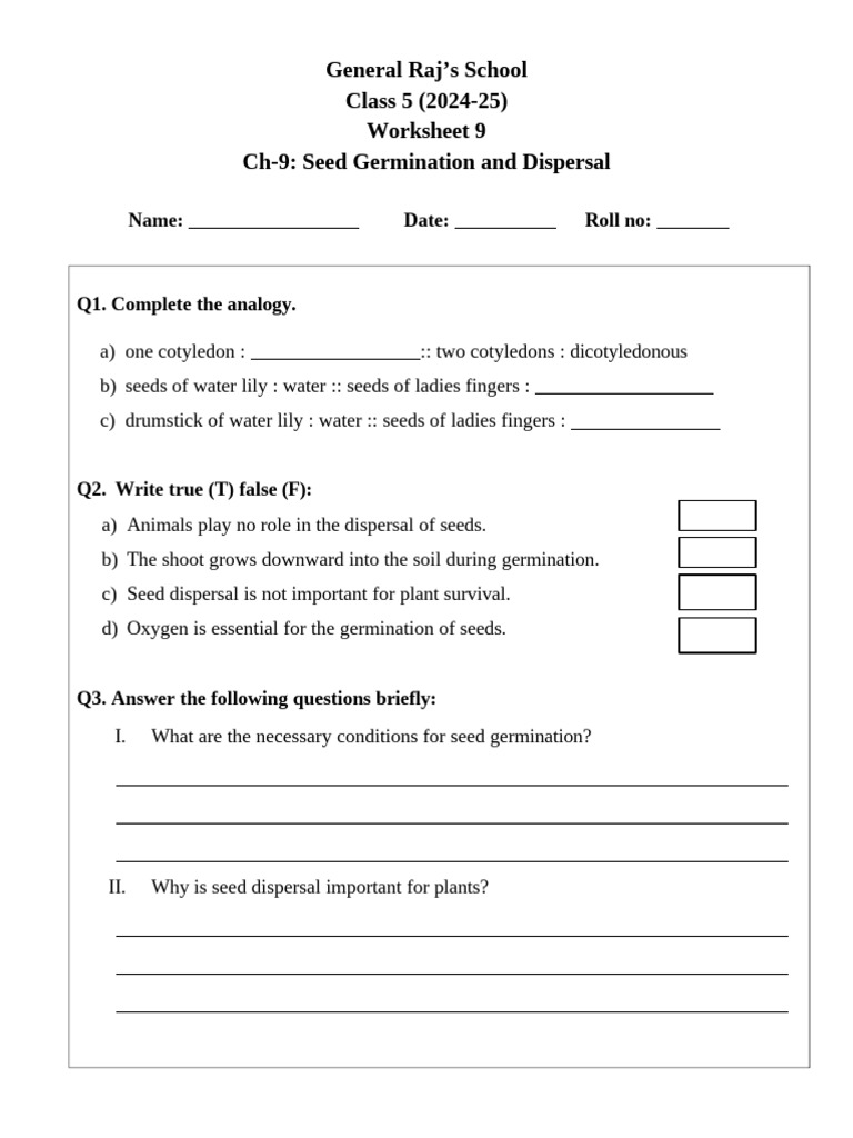 Worksheet Seed Germination | PDF