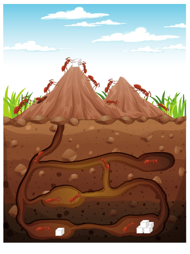 All About Ants | PDF