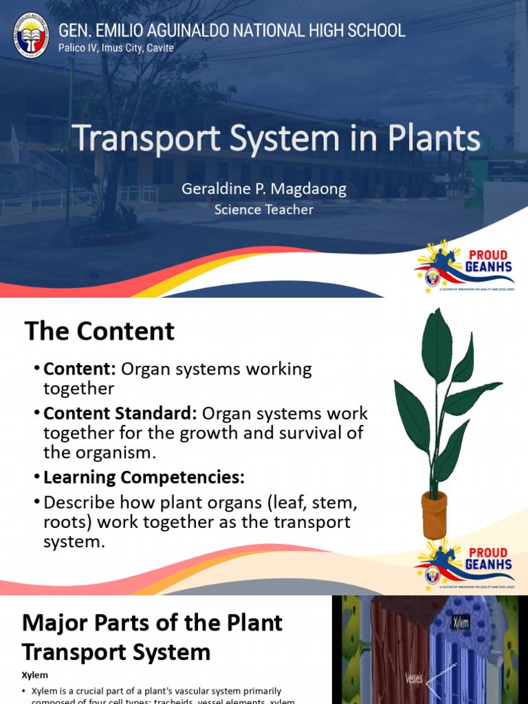 G8-Q1-W2-Transport-System-in-Plants | PDF | Stoma | Leaf