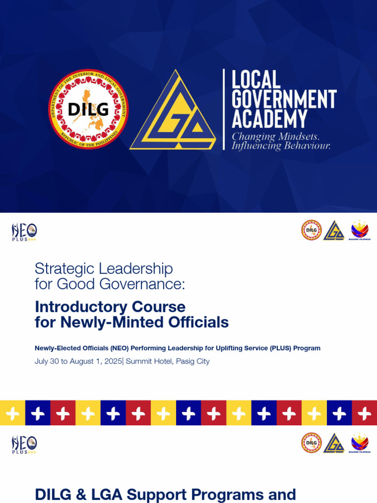 r8 Lga Dilg Ppas | PDF | Governance | Capacity Building