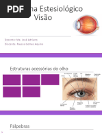 Anatomia Do Olho e Anexos Propedeutica | PDF | Olho humano | Olho