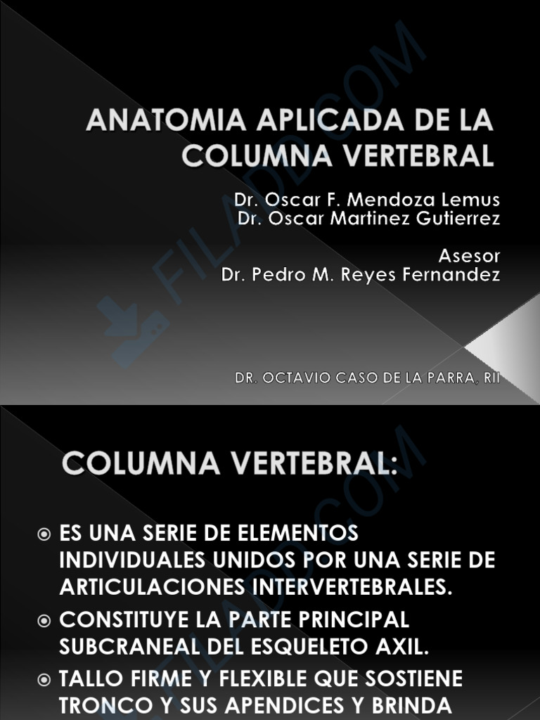 Anatomia a Plica Dad El a Column a Vertebral | PDF | Vértebra | Sistema ...