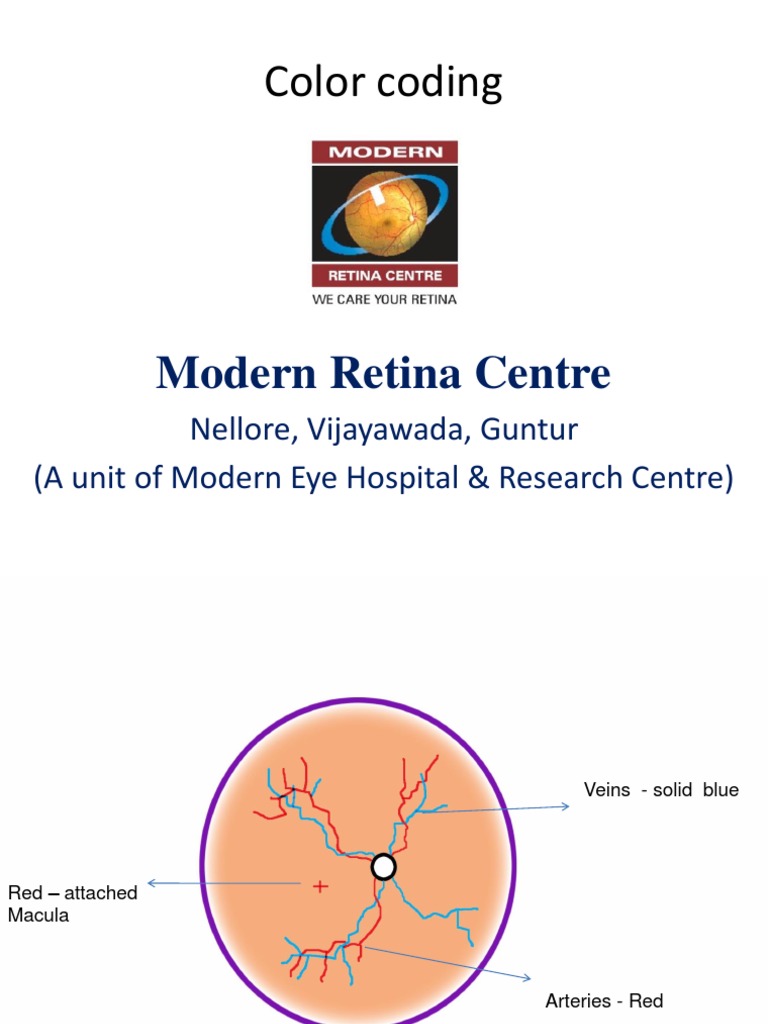 Retina Color Coding Guide | PDF | Computers