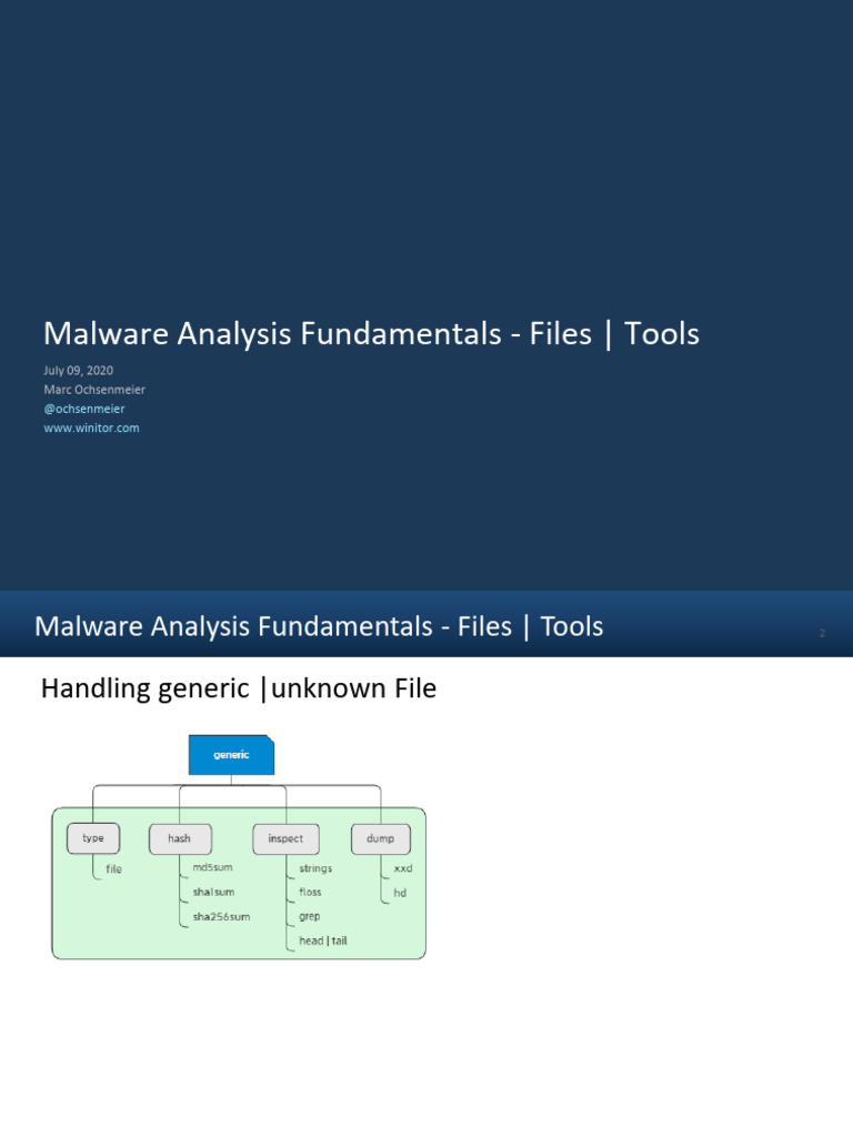 Malware Analysis: File Handling Guide | PDF | Cyberwarfare | Security