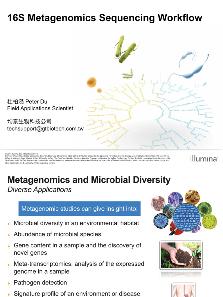 16S Metagenomics Sequencing Workflow_Peter | PDF | Polymerase Chain Reaction | 16 S Ribosomal Rna